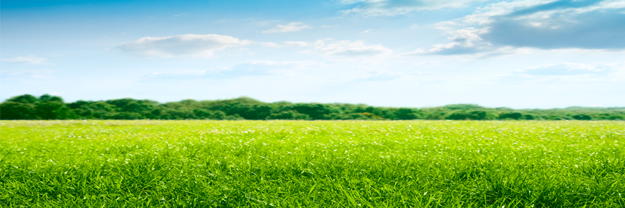 Mini Water, natural, safe, Australian spring water for children